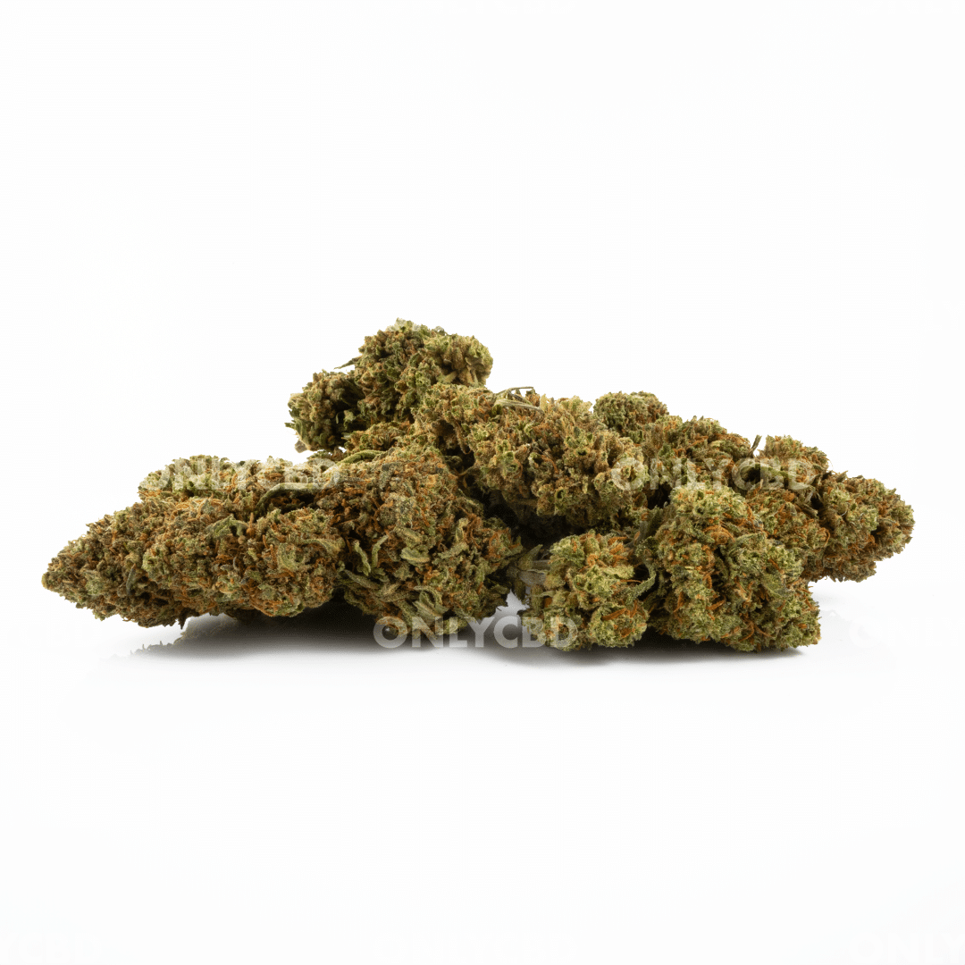 Comprar AMNESIA OG CBD al por mayor | OnlyCBDFans
